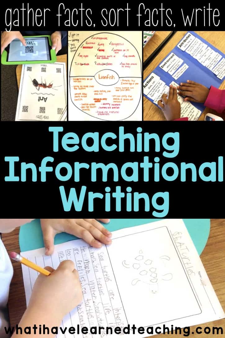How To Write An Informative Essay 5Th Grade How To Write An How To Write An Informative Essay 5Th Grade How To Write An