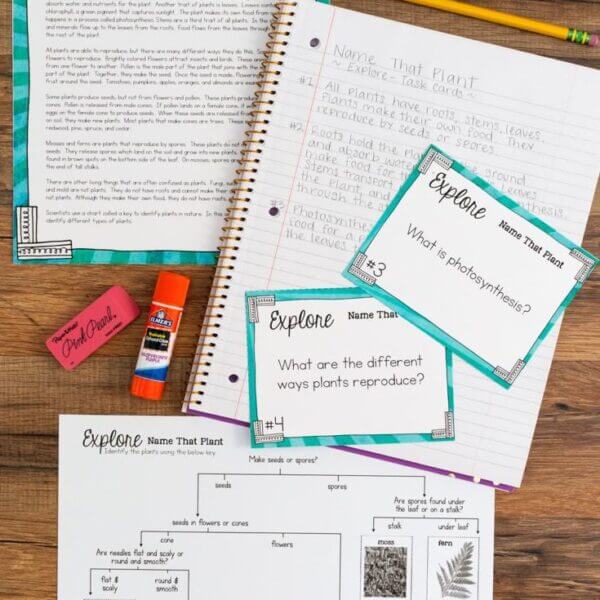 Third Grade Science Stations BUNDLE