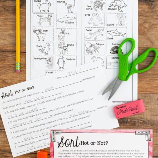 Third Grade Science Stations BUNDLE