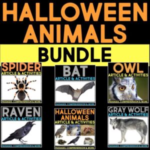 Spider Informational Article and Comprehension Activities